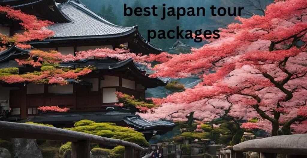 The Ultimate Guide To Best Japan Tour Packages - Skr Travel and ...