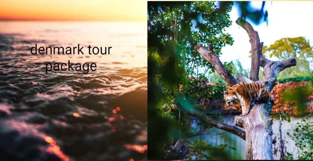 - Skr Travel and Insurance deals